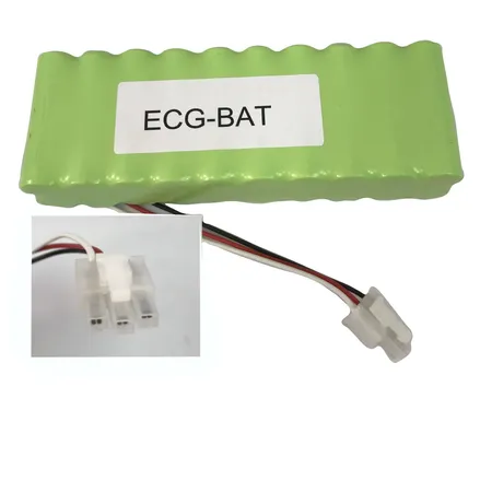 Battery, for CardioCare 2000 | Dealmed Medical Supplies